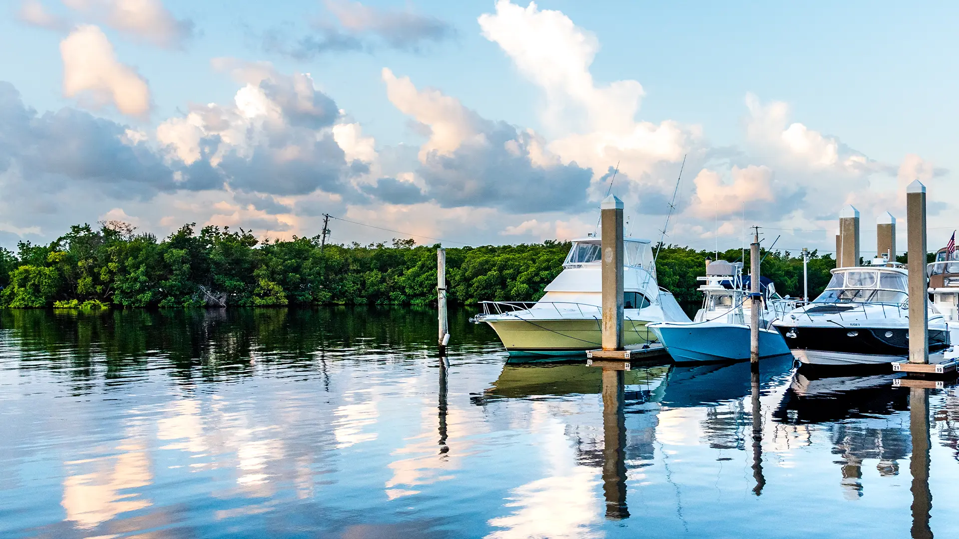 Marina Management Software - Vally